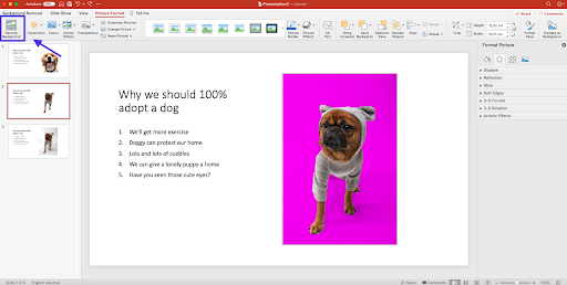 Quickly Remove Background Image In Powerpoint Step By Step Tutorial