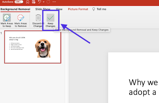 How To Remove The Background From A Picture In PowerPoint Remove bg Blog